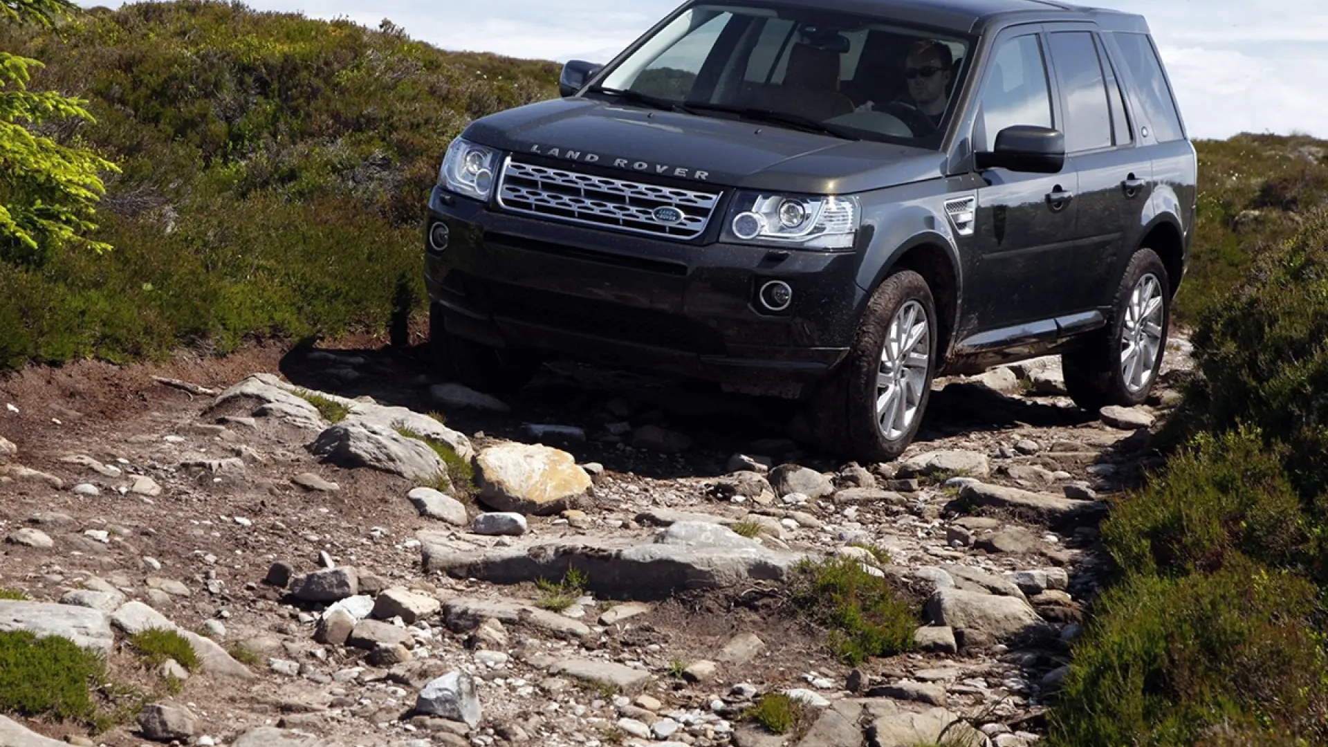 Galería del Land Rover Freelander 2